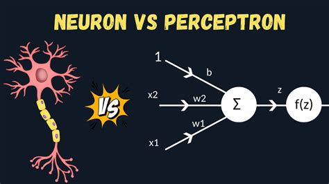A Beginners Guide To Multi Layer Perceptrons By Aryan Rusia Medium