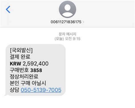 요즘 엄청 많이 오는 스팸피싱 문자 유형 인스티즈instiz 이슈 카테고리