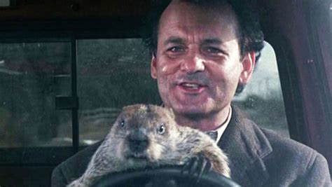 El Día De La Marmota Cinencuentro