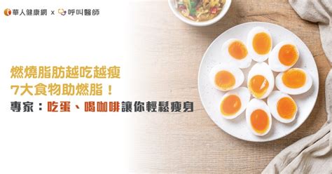 燃燒脂肪越吃越瘦，7大食物助燃脂！專家：吃蛋、喝咖啡讓你輕鬆瘦身 華人健康網 專業即時優質的健康新聞及資訊分享平台業即時優質的健康新聞