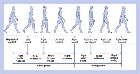 Gait Analysis 보행분석 대표적인 보행 편위 요약정리 네이버 블로그