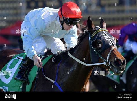 Jockey Tim Clark Rides Two N Wellgo To Win Race 4 The Southern Cross Turf Highway During