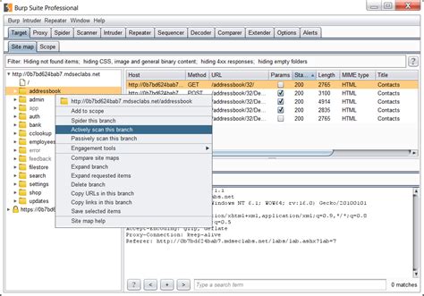 Burp Suite Professional 1714 The Leading Toolkit For Web Application Security Testing