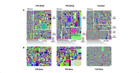 Treemap Plots Of Tcr And Bcr Repertoires In Pbmcs Of Icu Patients