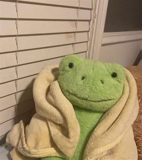 Cute Frog Pfp Aesthetic Cute Pfp For Tiktok Discord Instagram The