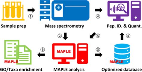 World Microbiome Day