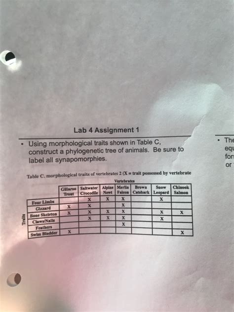 solved the lab 4 assignment 1 using morphological traits