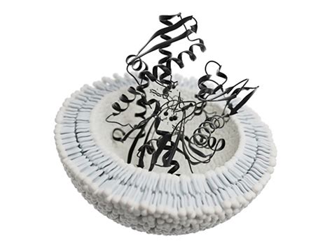 脐带血单个核细胞（cbmcs） 吉诺生物 吉诺生命健康控股集团有限公司