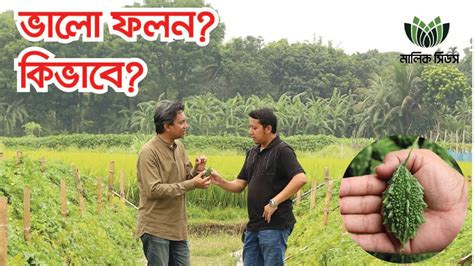 ভালো ফলন কিভাবে Youtube