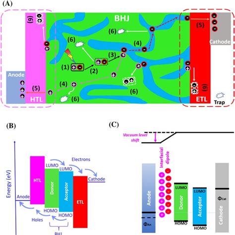 A Working Principle Of Pscs 1 Exciton Generation 2 Exciton Download Scientific Diagram