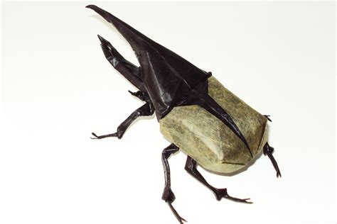 Paper Bugs Incredible Insect Origami From Matthieu Georger Art And