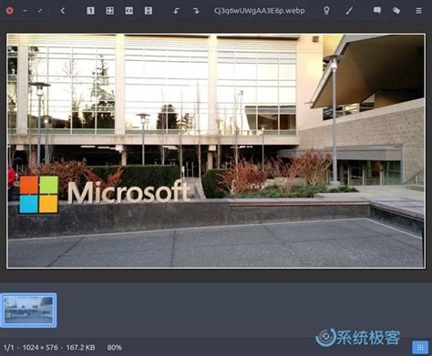 如何让ubuntu系统支持webp图片格式 系统极客