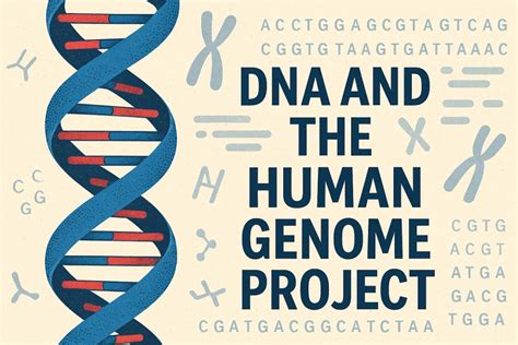 Dna And The Human Genome Project