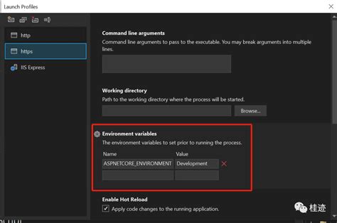 Aspnet Core 配置系列四 董川民