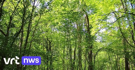Natuur En Bos Koopt 33 Hectare Grond In Lichtervelde Voor Nieuw Bos