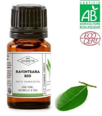 Равинтсара - Cinnamomum camphora | Австралийски цветни есенции