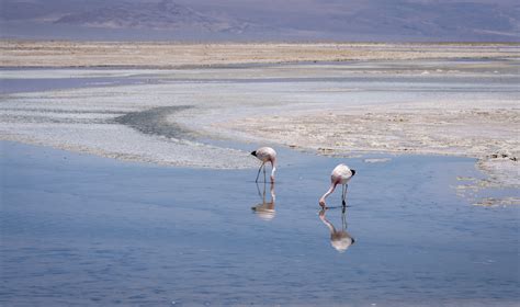 拟投资9亿美元，力拓与智利国家铜业将合作开发锂矿界面新闻