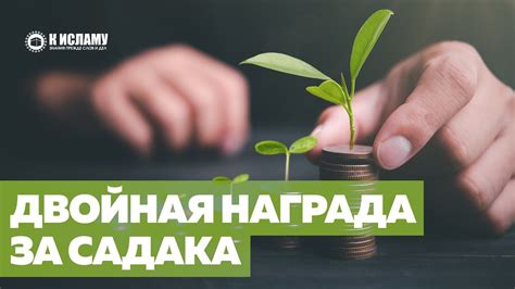 Как женщине получить двойную награду за садака Youtube