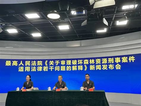 最高法发布司法解释 进一步加大森林资源司法保护力度