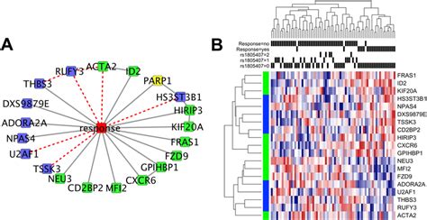Conditional Gaussian Sub Network Around Response To Treatment With Edge
