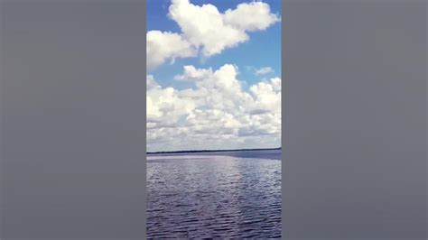 රෝන්දේ Youtube