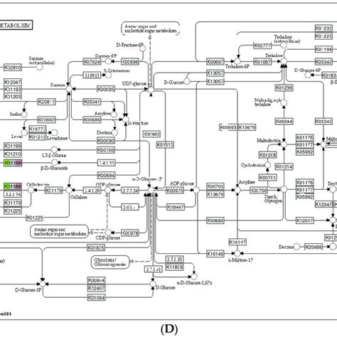 Functional And Pathway Annotation Comparison Of The Genes Assigned To Download Scientific