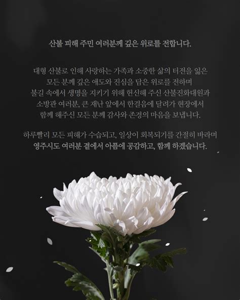 영주시yeongju 산불 피해 주민 여러분께 깊은 위로를 전합니다 대형 산불로 인해 사랑하는 가족과 소중한 삶의 터전을 잃은 모든 분께 깊은 애도와 진심을 담은