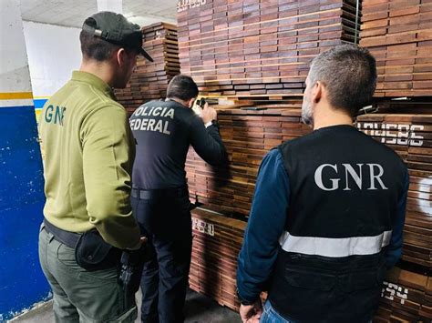 Successful Police Cooperation In Fight Against Illegal Timber Trade