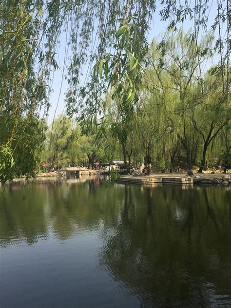 北京圆明园 北京旅游攻略 游记 去哪儿攻略