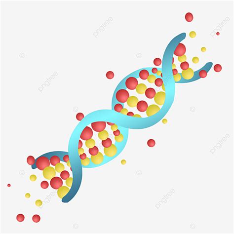 Genes Png Vector PSD And Clipart With Transparent Background For