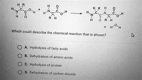 Solved Which Could Describe The Chemical Reaction That Is Shown A