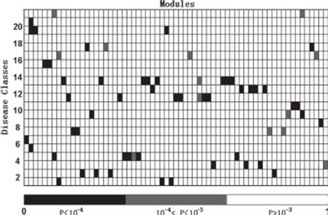 Phenotype Network Shows A Modular Organization On The Genetic Landscape