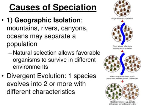 PPT Speciation PowerPoint Presentation Free Download ID 1454543