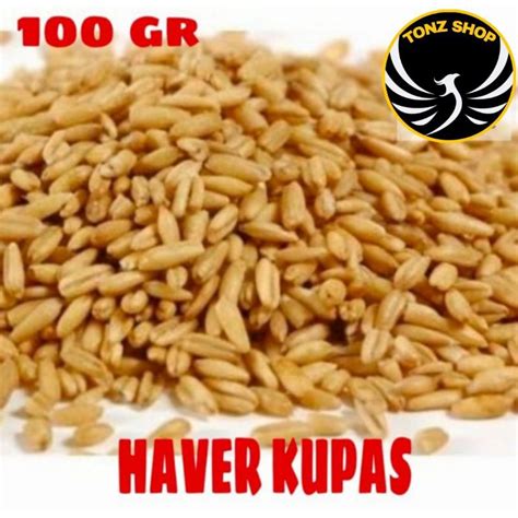 Jual Haver Seed Haver Kupas Biji Oat Pakan Makanan Burung Hamster Dll