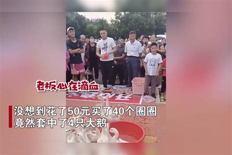 男子在大街上玩套圈游戏花50元套中4只大鹅老板差点心疼哭了 大街 游戏 男子