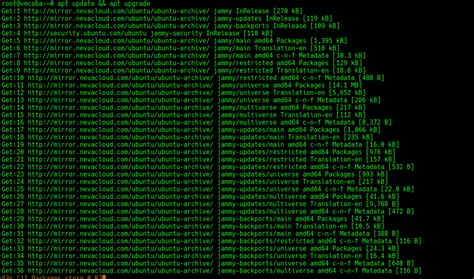 cara install wordpress di ubuntu via wp cli domainesia