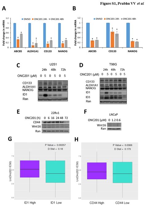Cancer Stem Cell Related Gene Expression As A Potential Biomarker Of