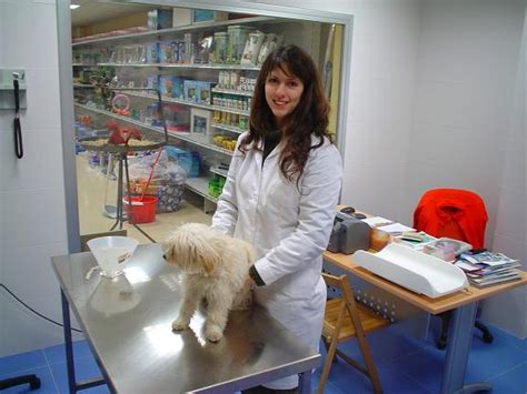 Veterinaria