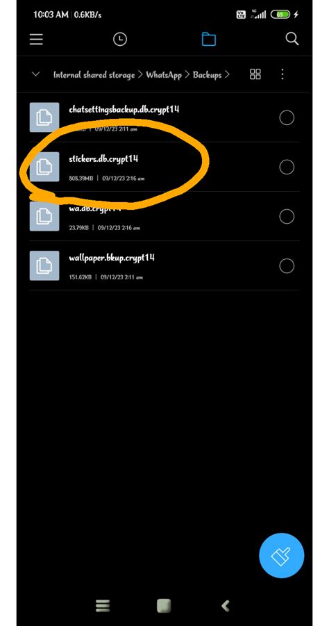 What Will Happen If I Delete This File R Whatsapp