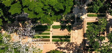 a three pronged approach to restoration ar 2019 cifor