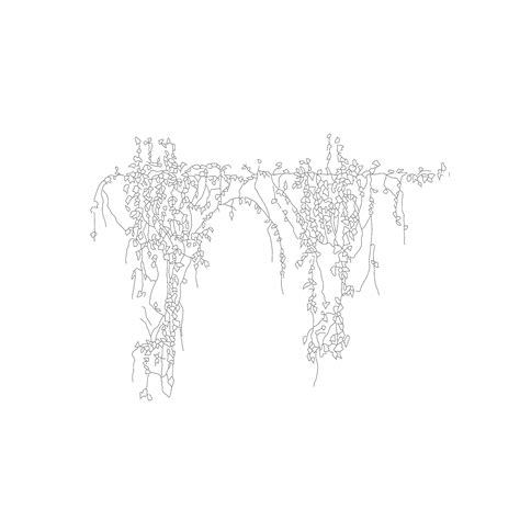 Ivy And Climbing Plants Dwg Cad Blocks In Elevation 20 Pieces