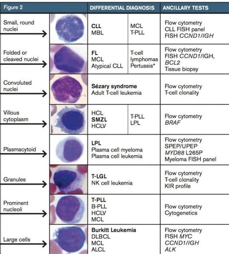 Lymphocytosis Medizzy