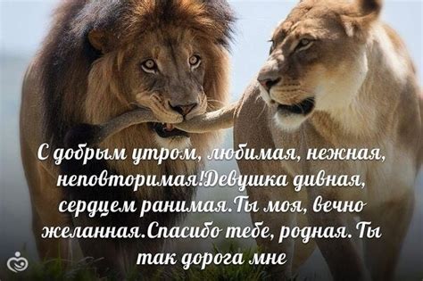 Сексуальные картинки с добрым утром 50 фото скачать бесплатно
