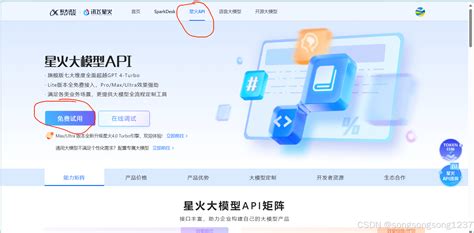 用python调用讯飞星火的api，以及调用grop，api给edge的沉浸式翻译插件，以及ollama本地运行大模型。grop Api