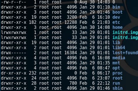 Linux Dosya İzinleri