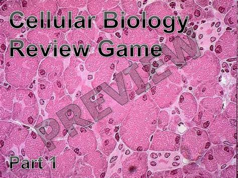 Part 1 Intro To Cells Review Game Preview Pptx