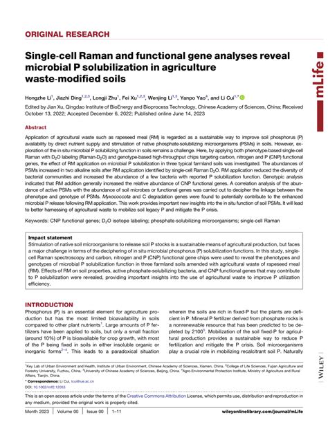 Pdf Single‐cell Raman And Functional Gene Analyses Reveal Microbial P