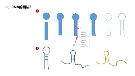没有ggplot这个函数这个lncrna机制图是用ppt画的！ Csdn博客