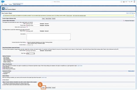 How To Set Up An Org In Salesforce Go Coding