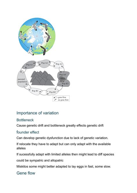 Speciation External Notes Biology Level 3 Ncea Thinkswap